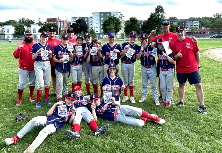 Home - LWF Baseball Association